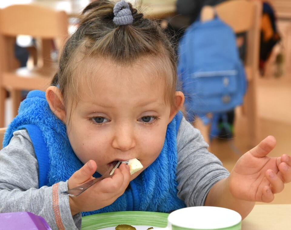 Tagesablauf – Igelbau Mainburg